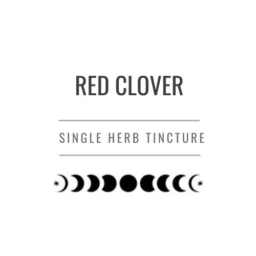 Organic Red Clover Herbal Tincture by Magical Activist